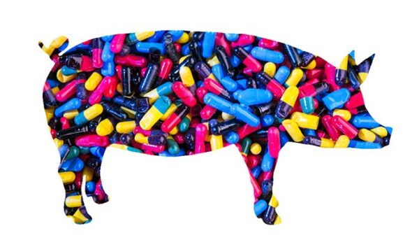 Understanding Antibiotic Use in Livestock and Poultry: Responsible ...