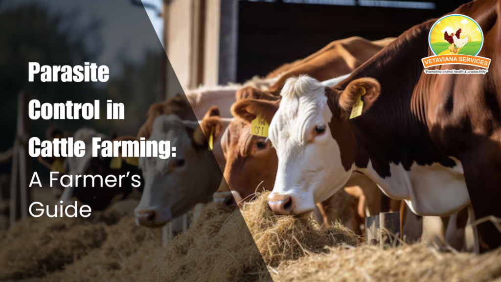 Parasite Control in Cattle Farming: A Farmer’s Guide - Vetaviana Services